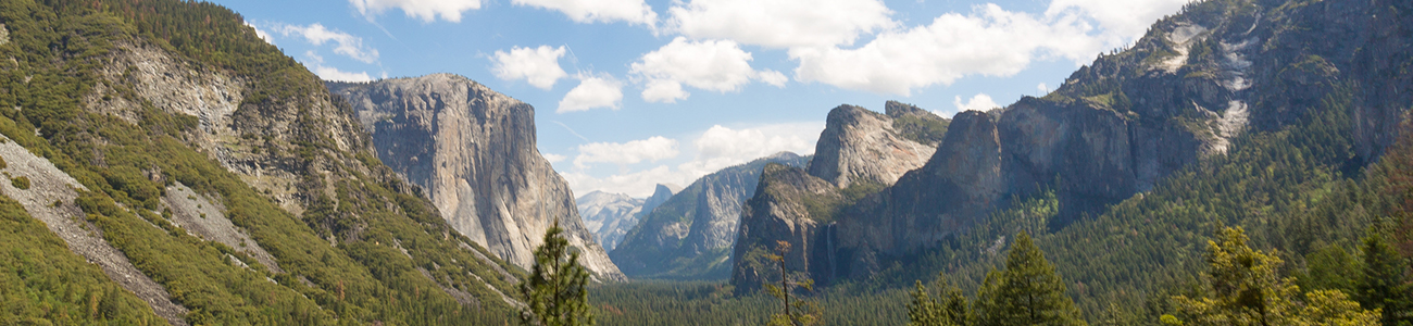 YARTS Transit Schedule