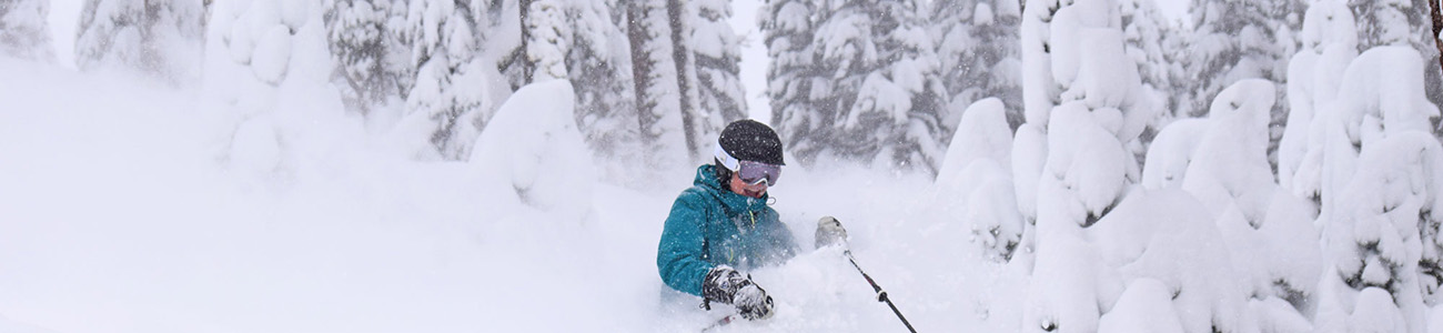 Visit Yosemite in Winter | Leland Snow Park | Dodge Ridge Ski Resort ...